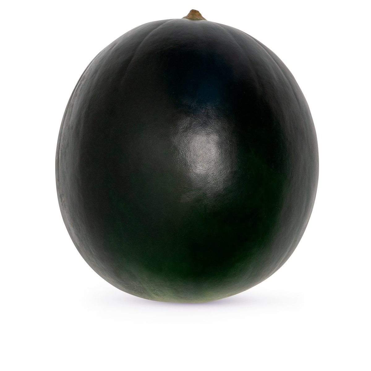 Verano archivos - Jimbee