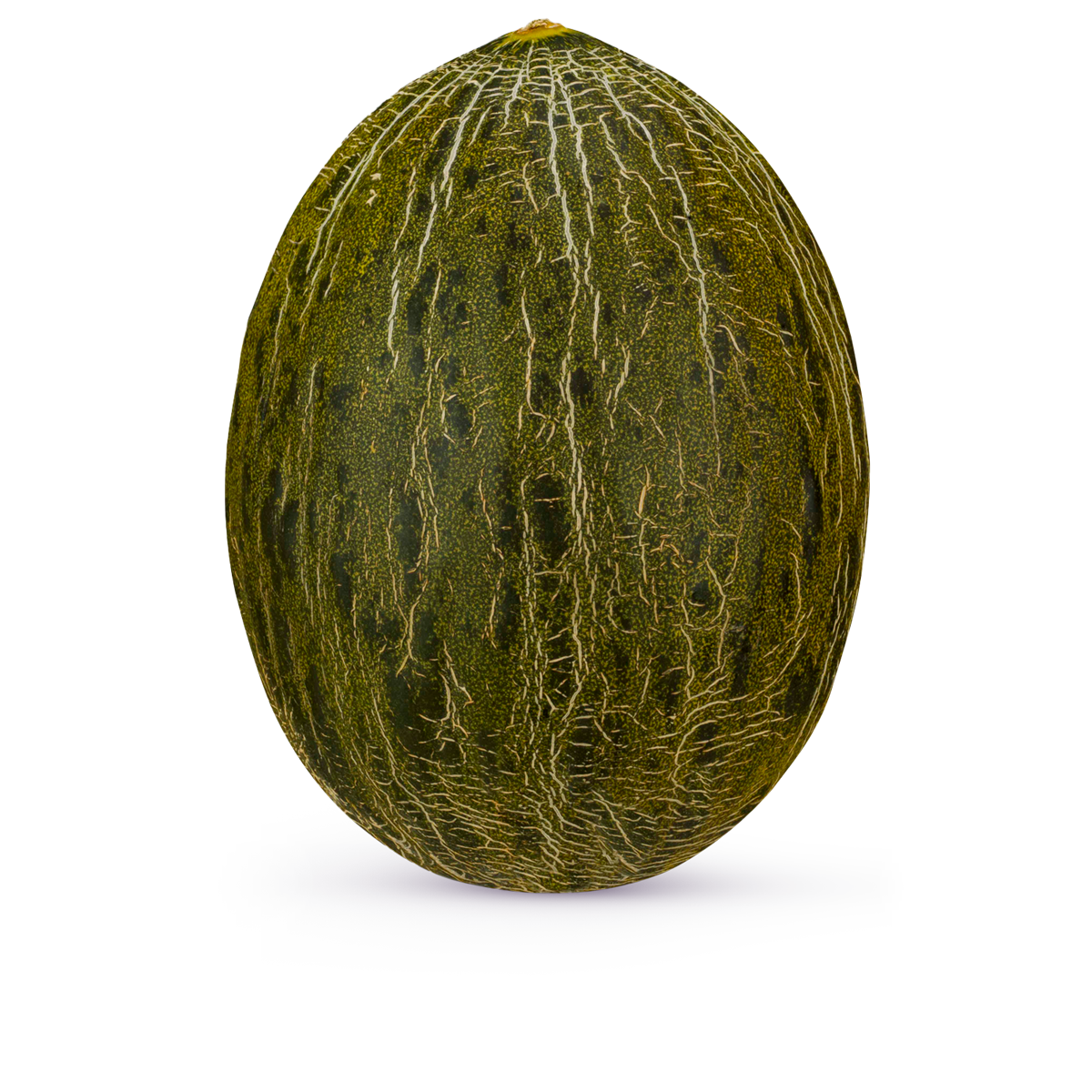 Verano archivos - Jimbee