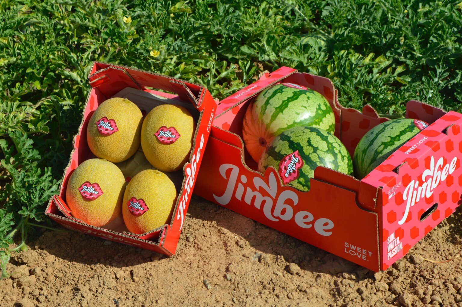 JIMBEE, PRESENTE EN EL DIARIO DEL CAMPO DE LA 7 TV - Jimbee